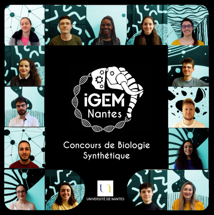 Students from Nantes are competing for the prestigious MIT iGEM prize ...